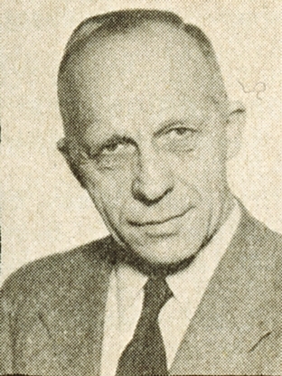 Tuss og Troll :: Retroverden